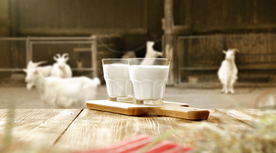 Advantages of Goat Milk - Nature365