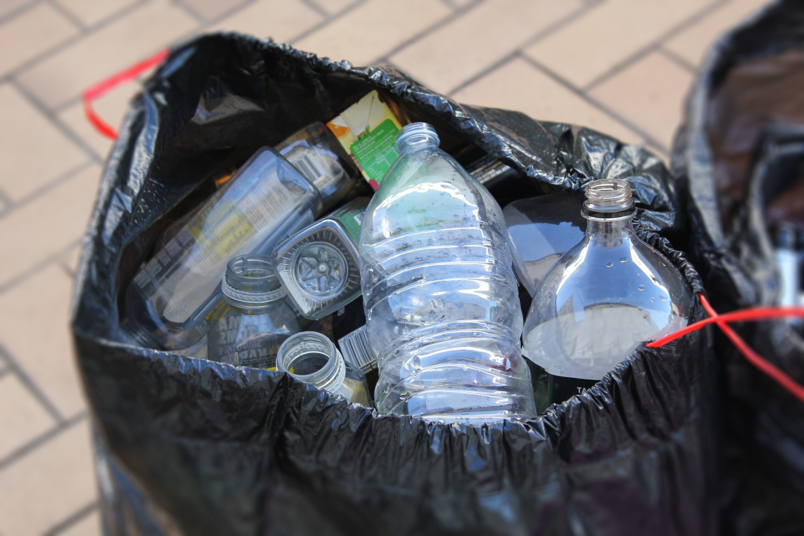 Enhancing the Circular Economy of #1 Plastic (PET) Recycling: A Pathway ...
