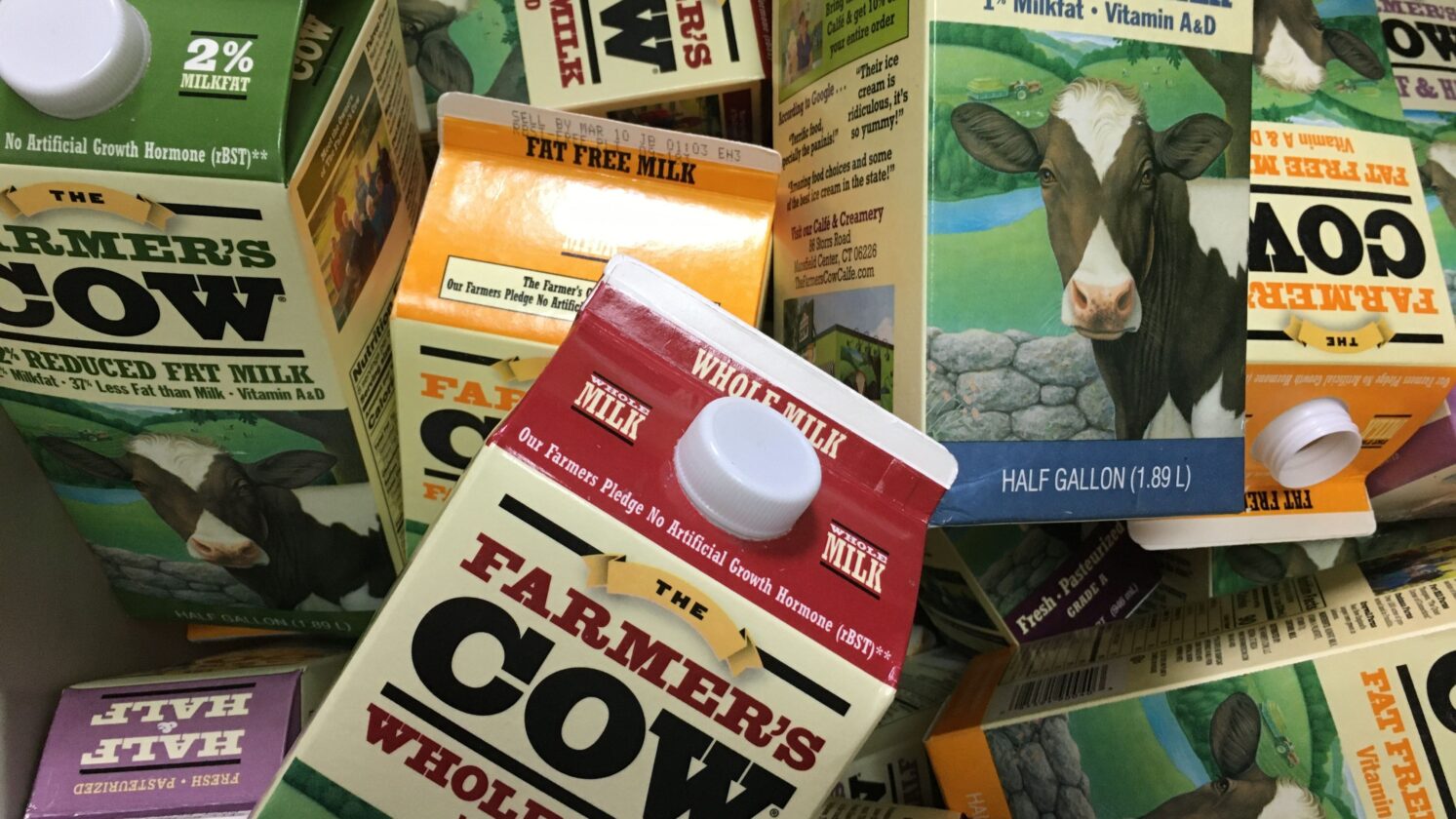 How to Recycle Milk Cartons and Caps - Nature365