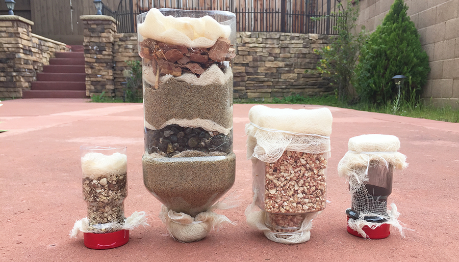 Setting Up Five Natural Water Filtration Systems - Nature365