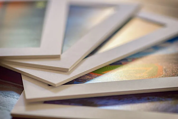 Importance of Embracing Digital Photography Over Printing - Nature365