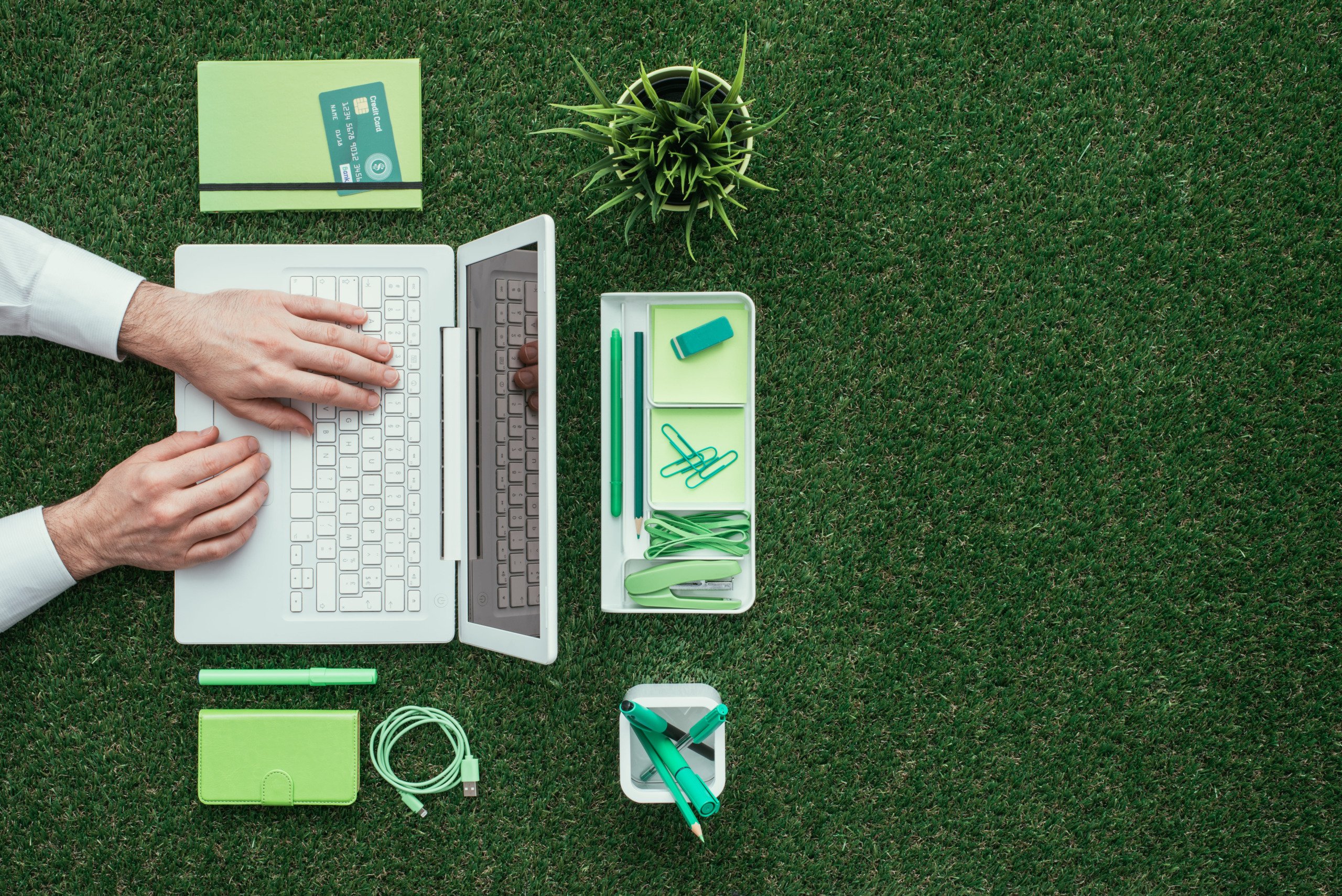 Essential Ways to Promote Green Habits in the Workplace - Nature365